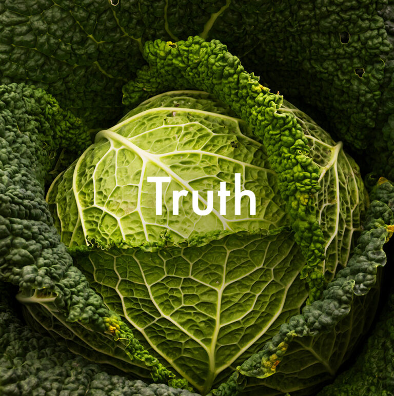 McCANN Poland – W roku 2021 McCANN Poland zyskał miano najlepszej ...